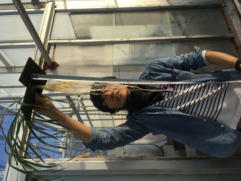 Sticky Roots – The Malmstrom Lab