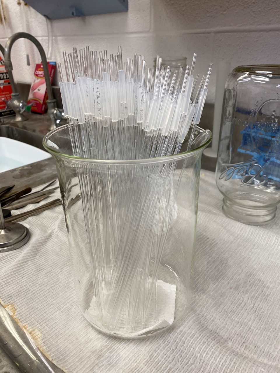 Sticky Roots – The Malmstrom Lab